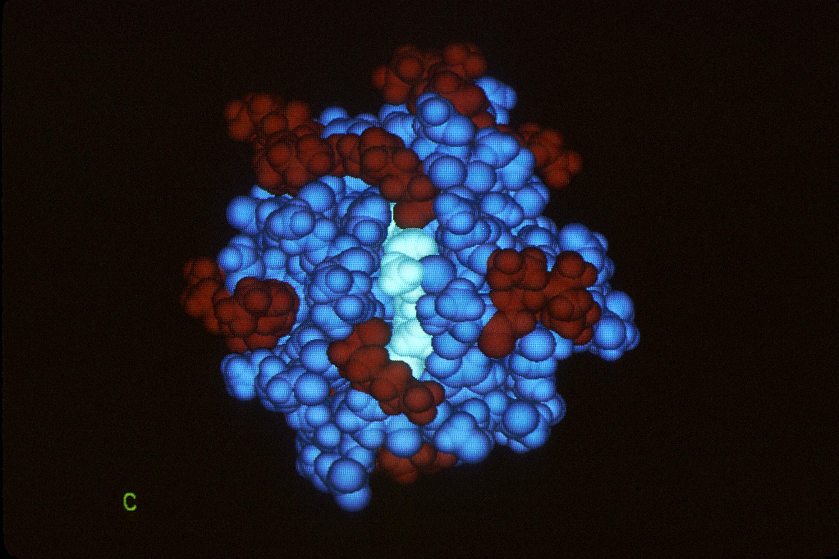 A New Dimension For 3D Protein Structures