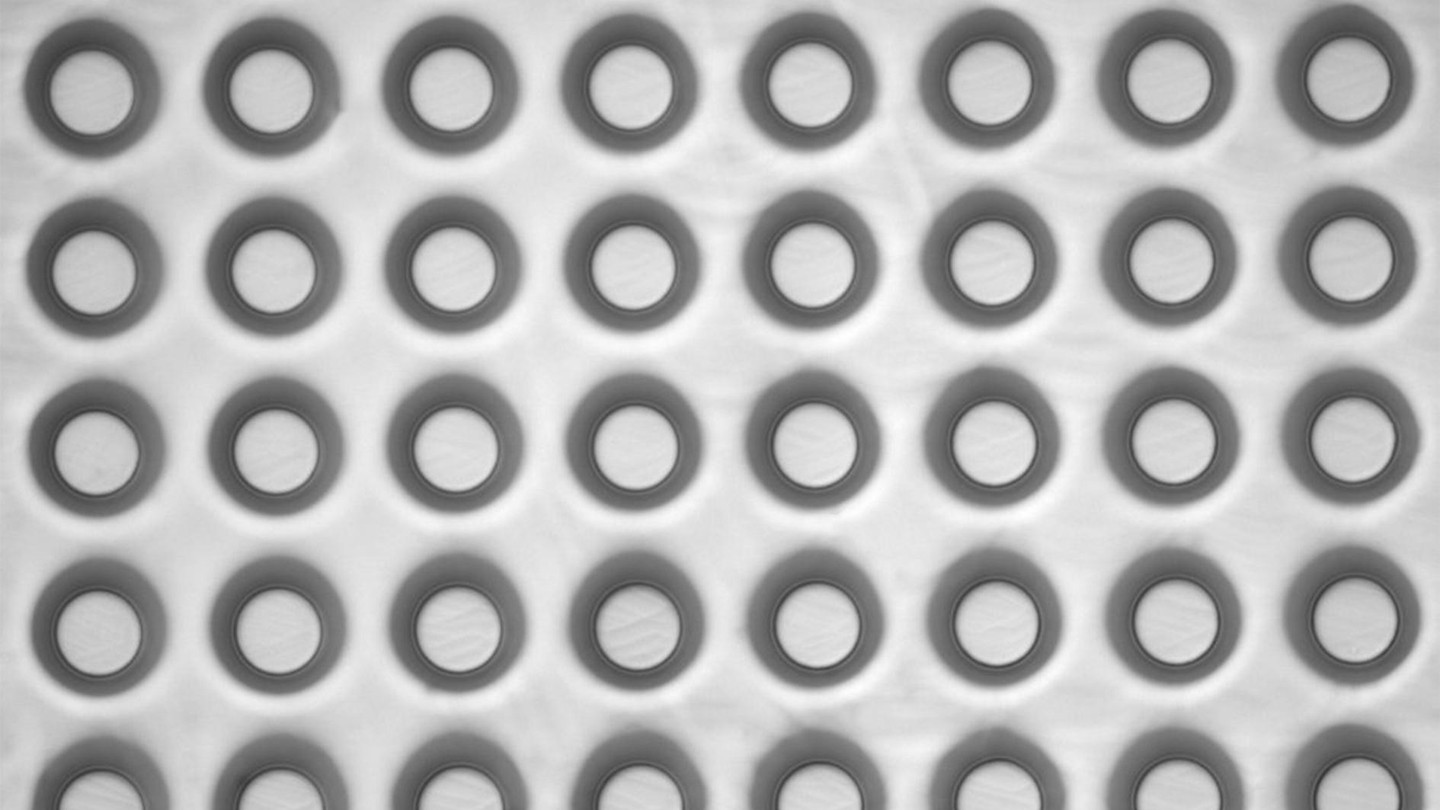 Droplets perform daredevil feats on gel surfaces - EPFL