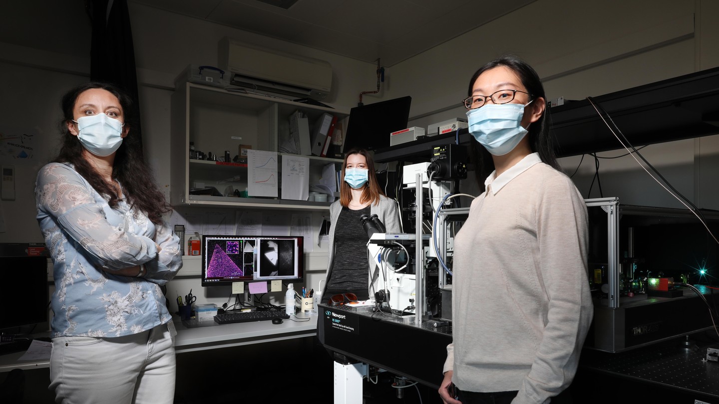 Scientists now able to map defects in 2D crystals in liquid - EPFL