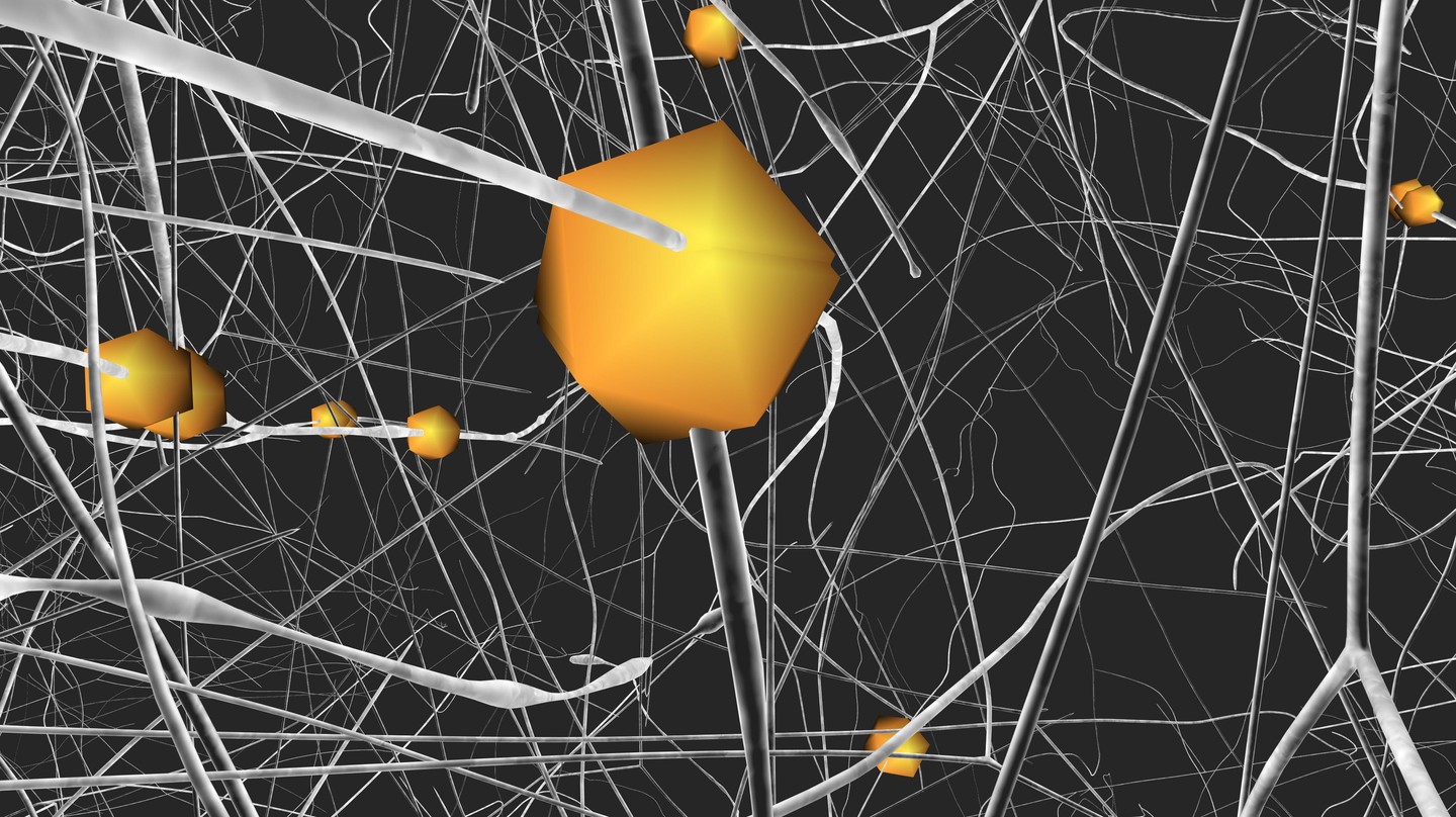 Blue Brain Project Accurately Predicts Connections between Neurons - EPFL