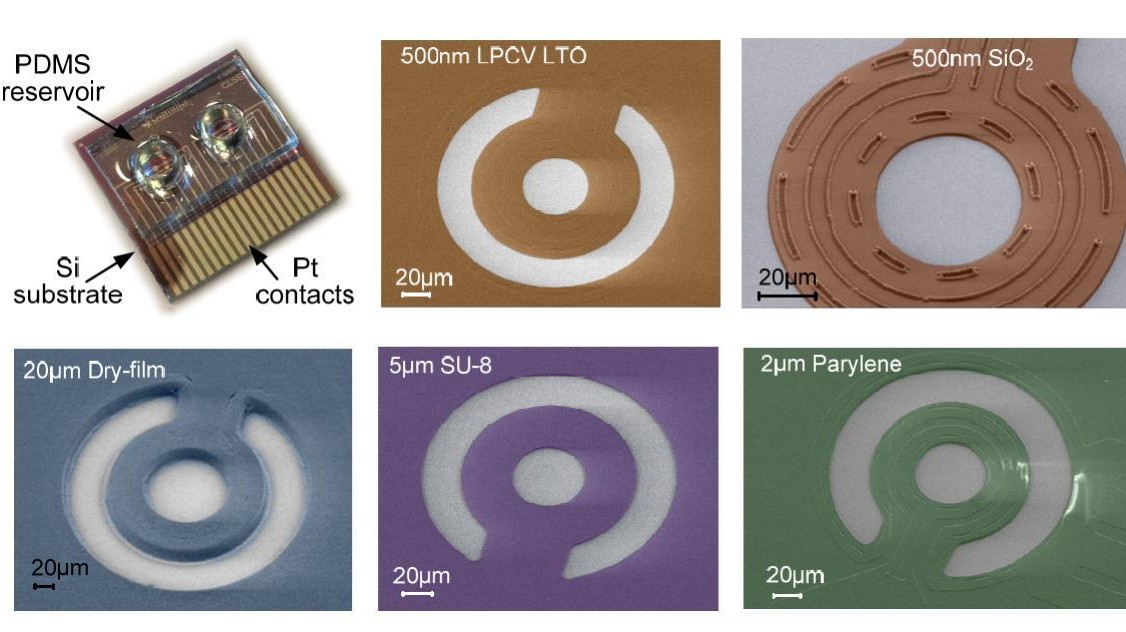 Fabrication Techniques for On-Chip Microelectrodes. - EPFL