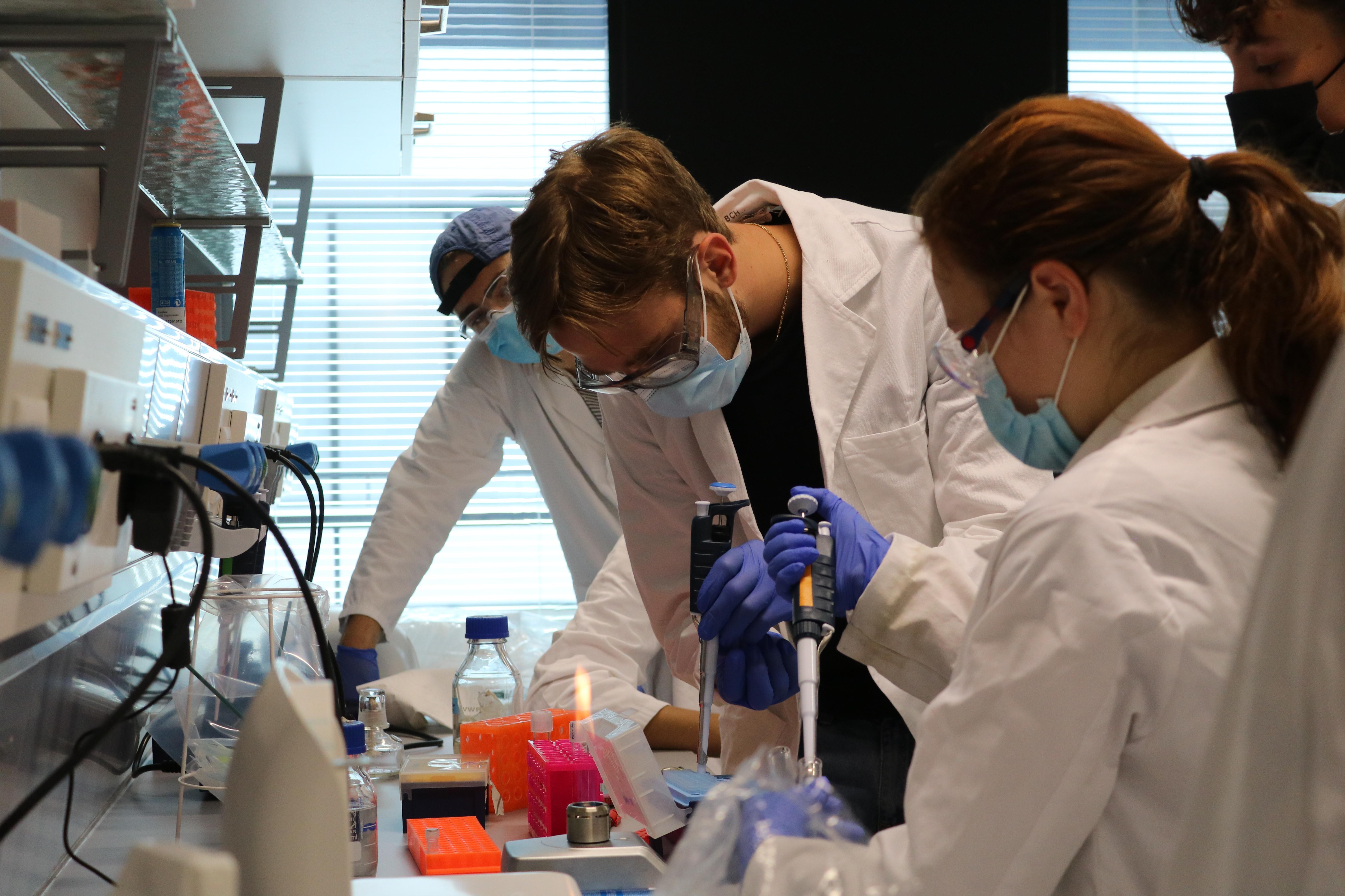 EPFL Summer school: An electrifying experience! - EPFL