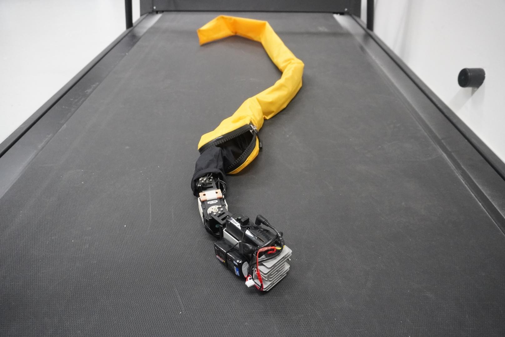 Swimming robot gives fresh insight into locomotion and neuroscience - EPFL