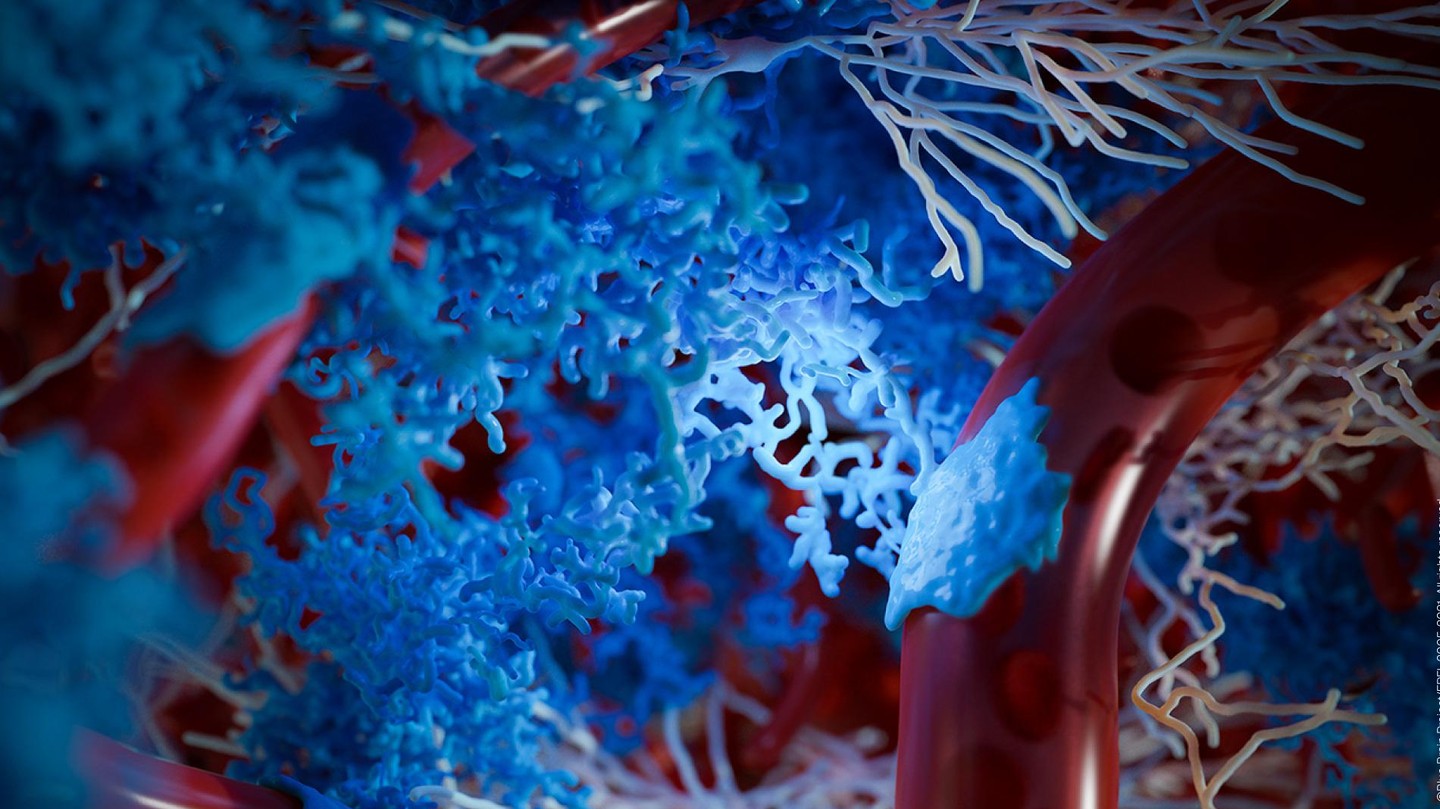 A digital reconstruction of the brain's power source - EPFL