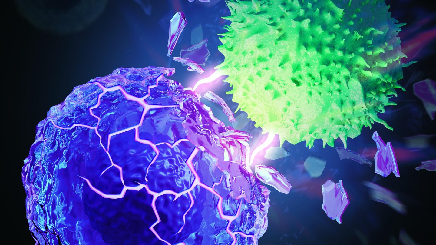 Rigidifying cancer cells for better immunotherapy - EPFL