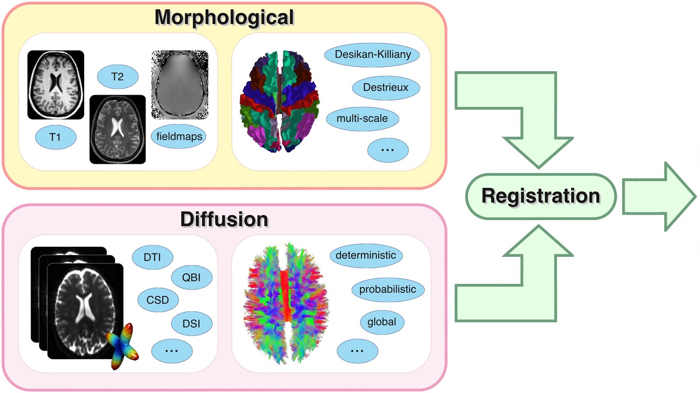 New paper in diffusion MRI by Alessandro Daducci et al. - EPFL