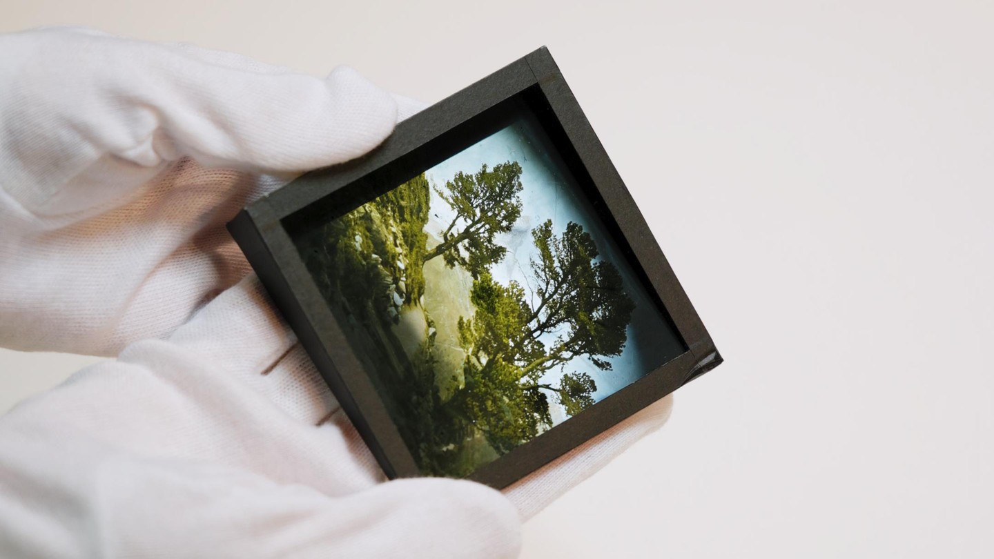 Lausanne museum unveils the secrets of the first color photographs - EPFL