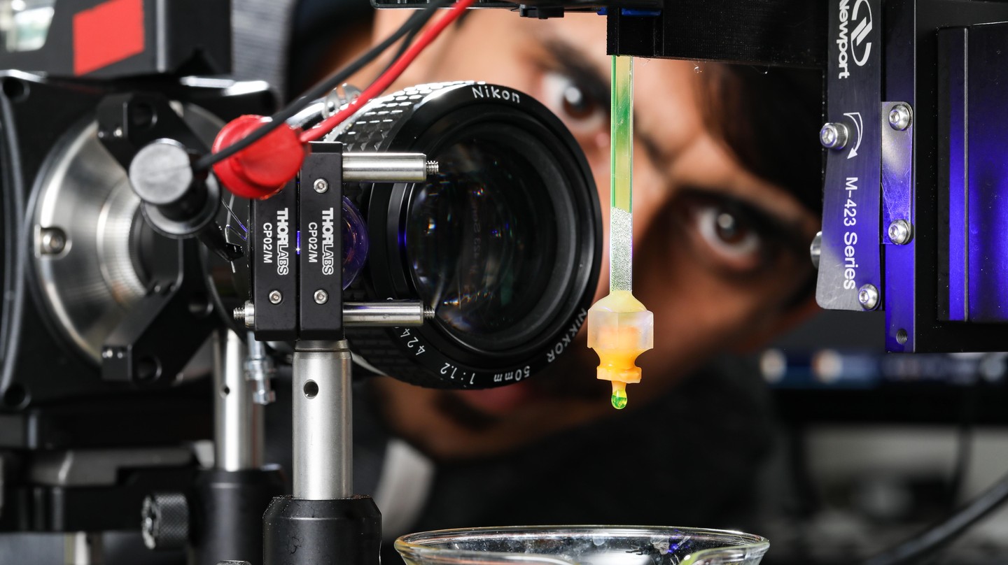 EPFL introduces minor in imaging to meet growing demand from research ...