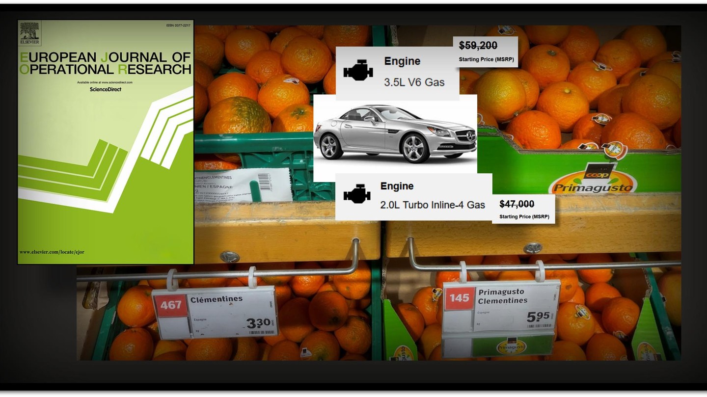 Selling Different Versions of the Same Product – Robustly! - EPFL