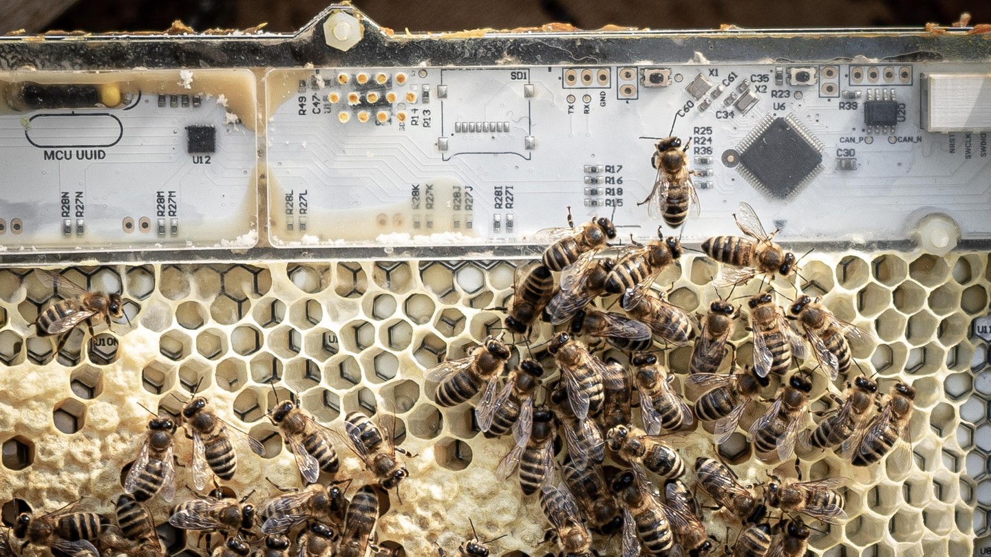 Photographs reveal the hidden beauty of research - EPFL