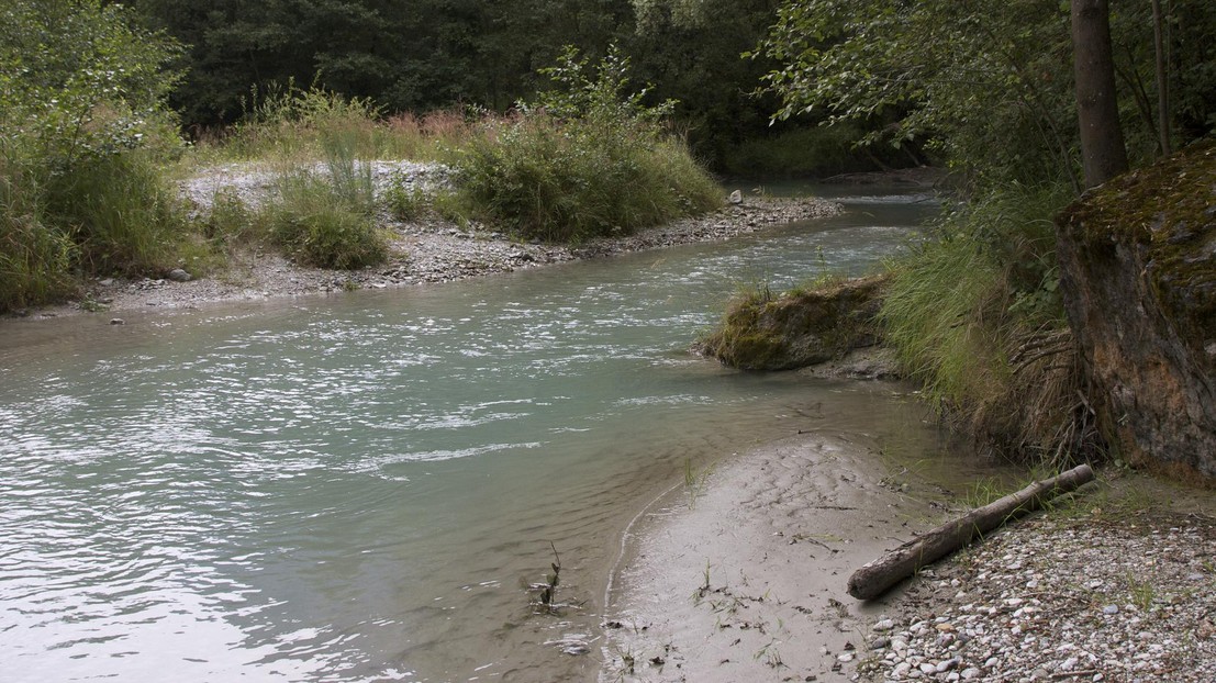 Scientists gain further insight into riverscape dynamics - EPFL