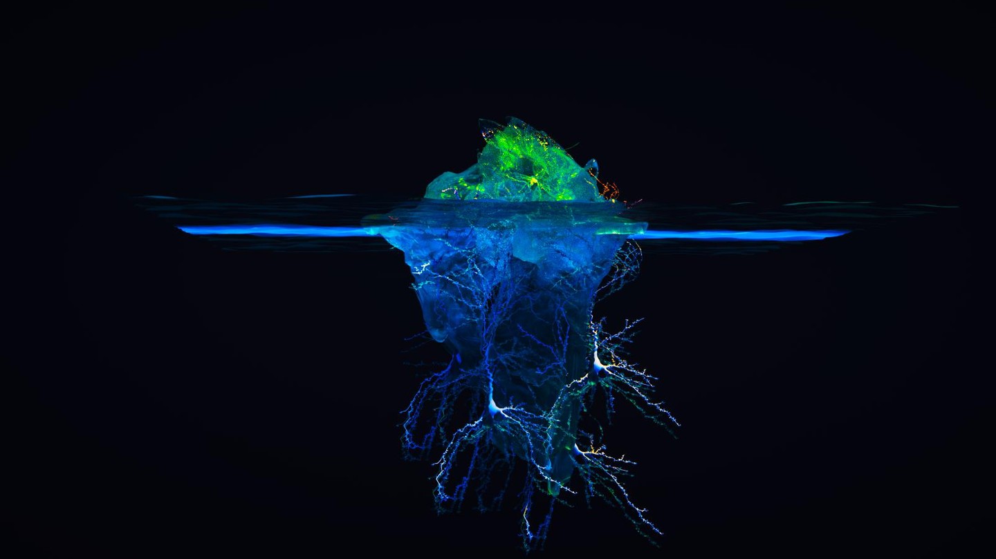 Predict what mouse sees by decoding brain signals | Mirage News