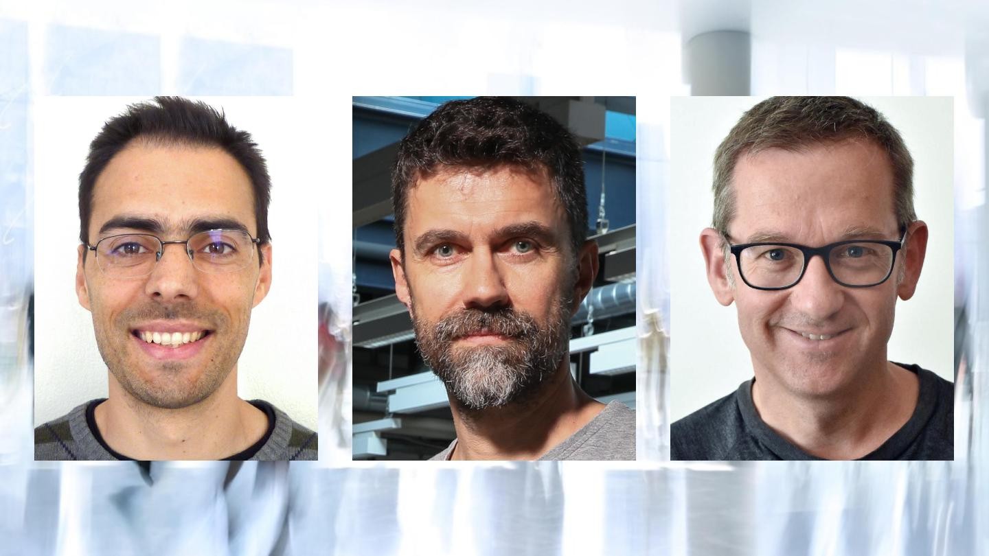 Promotion of an Associate Professor and two Adjoint Professors at SB - EPFL