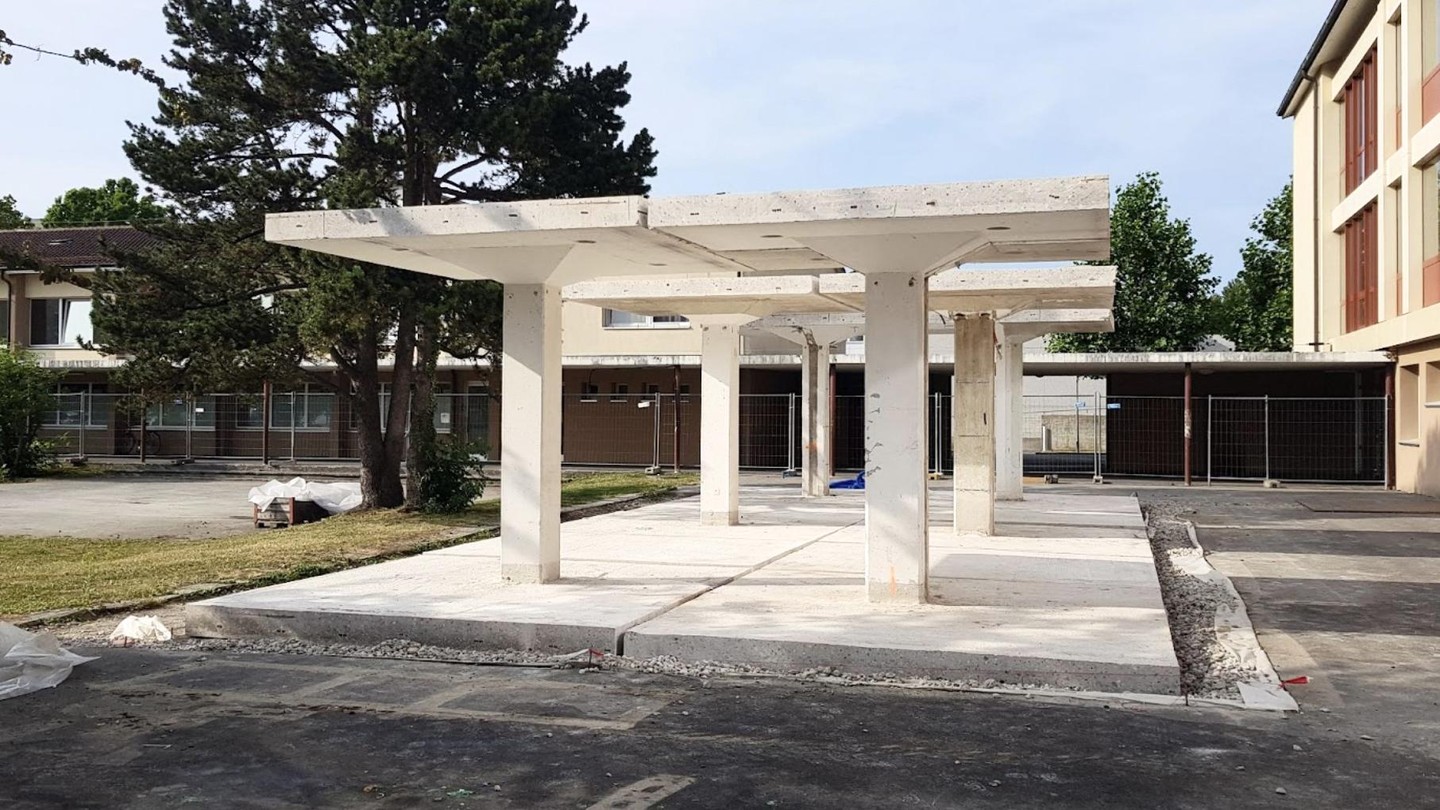 Successful cut and reuse of mushrooms slabs - EPFL