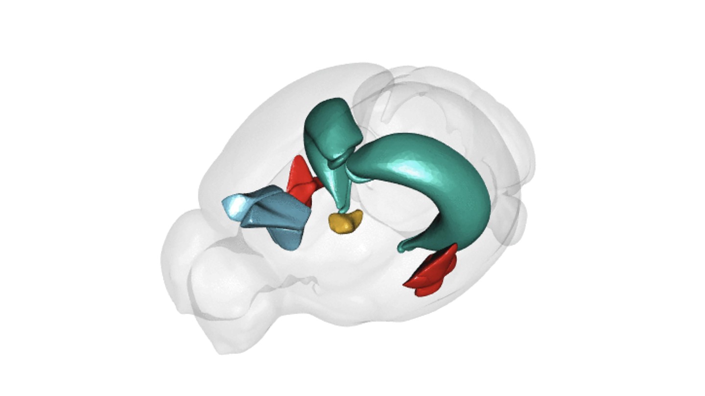New review article from the lab! - EPFL
