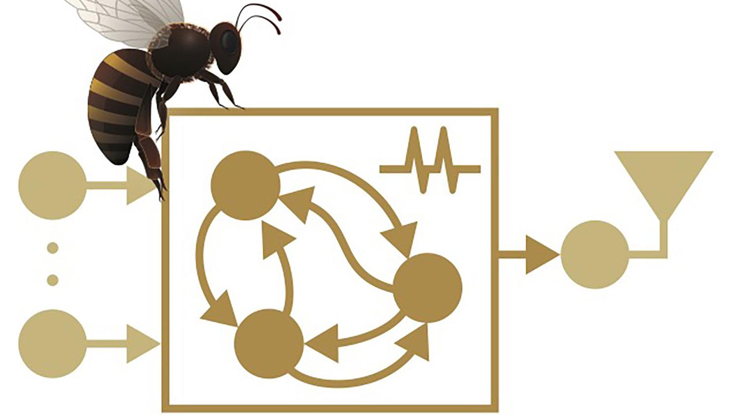 An Internet Of Things Inspired By Nature Erc Grant For Sti Research Epfl