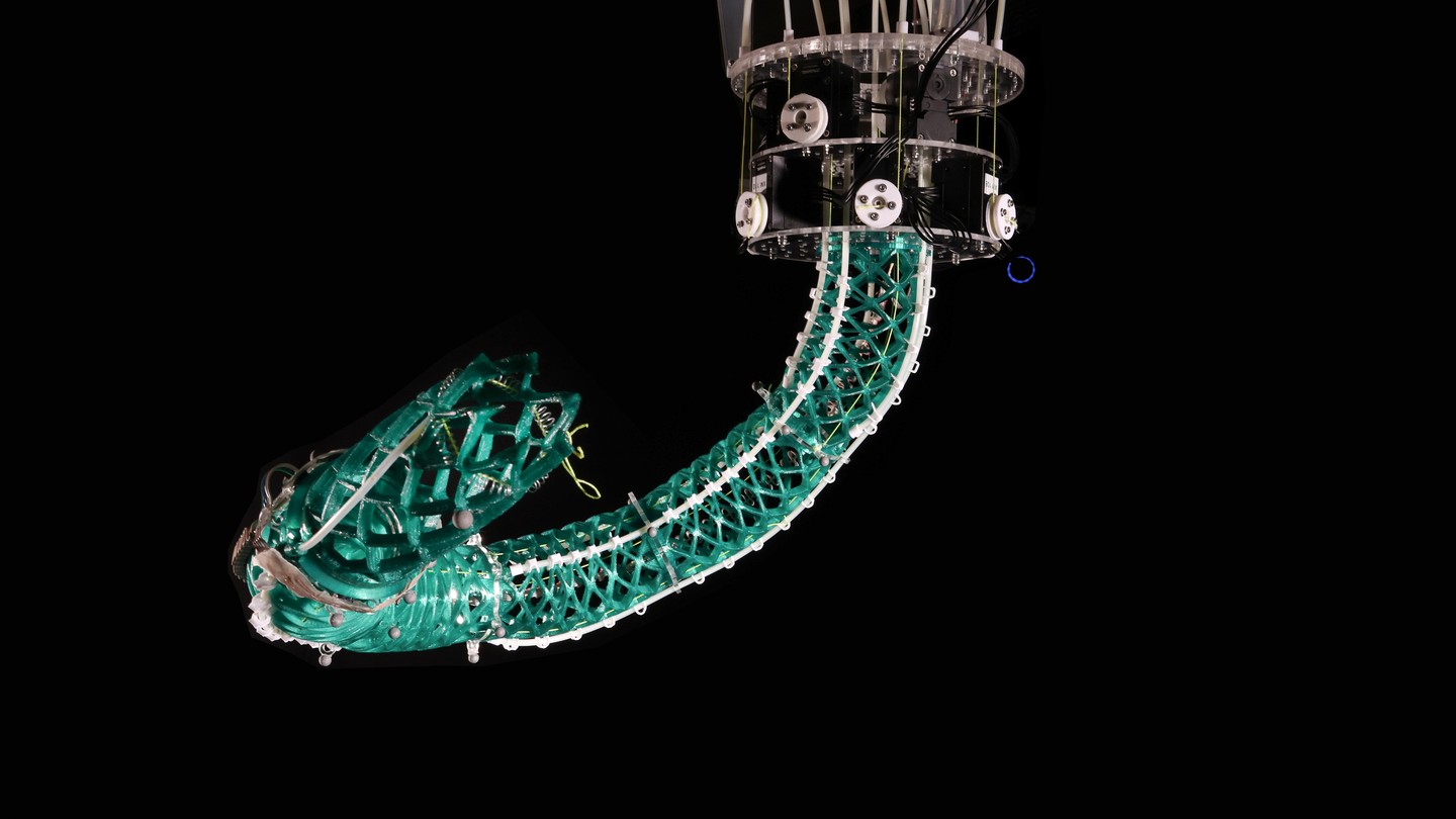 Un robot souple pour des interactions étroites avec les humains - EPFL