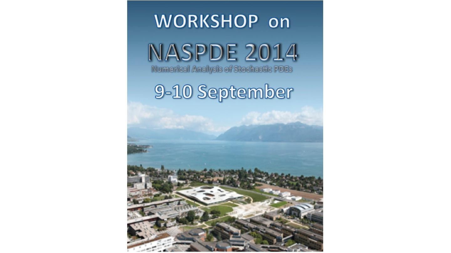 NASPDE workshop at EPFL - EPFL