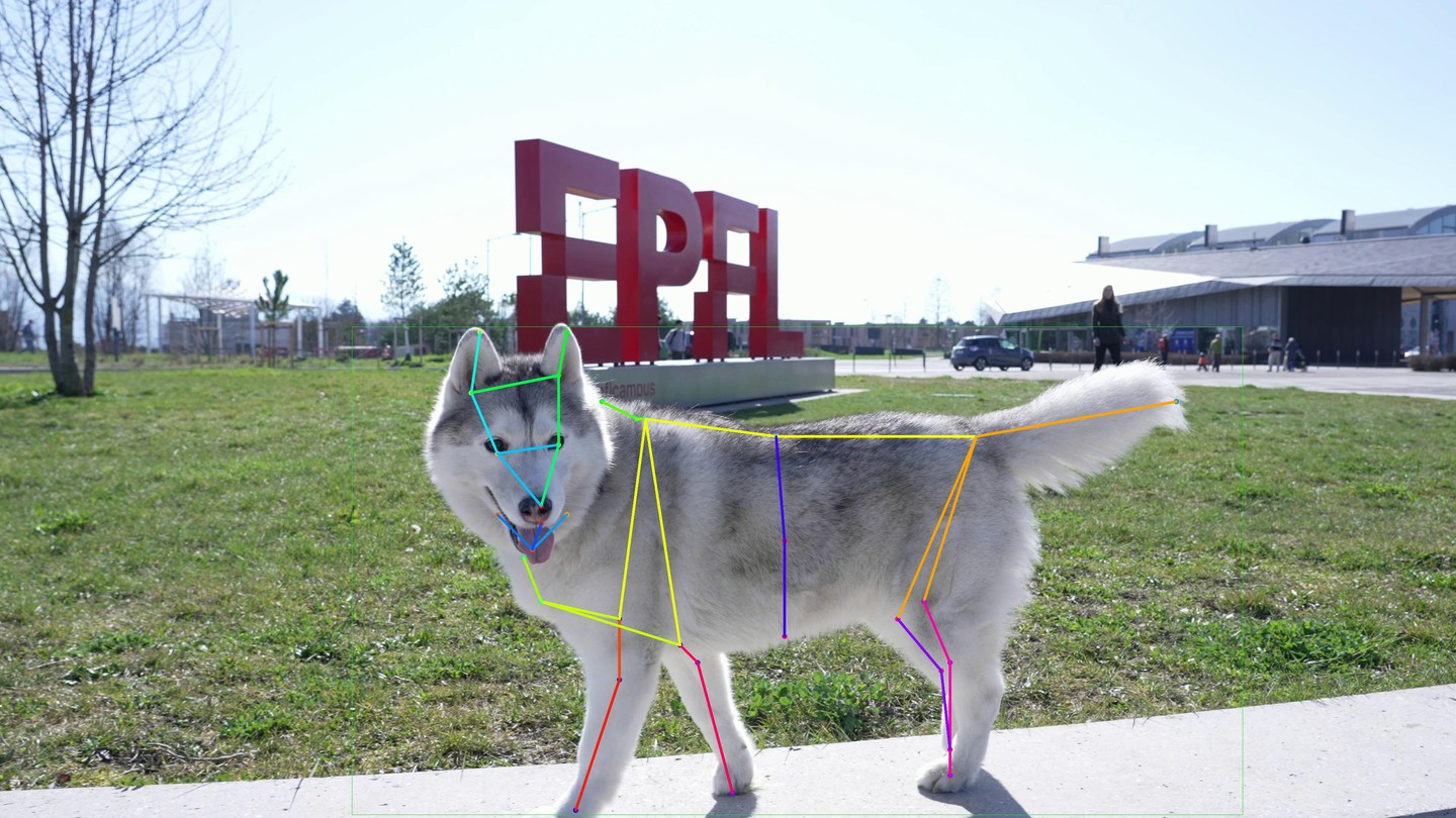 Unifying behavioral analysis through animal foundation models - EPFL