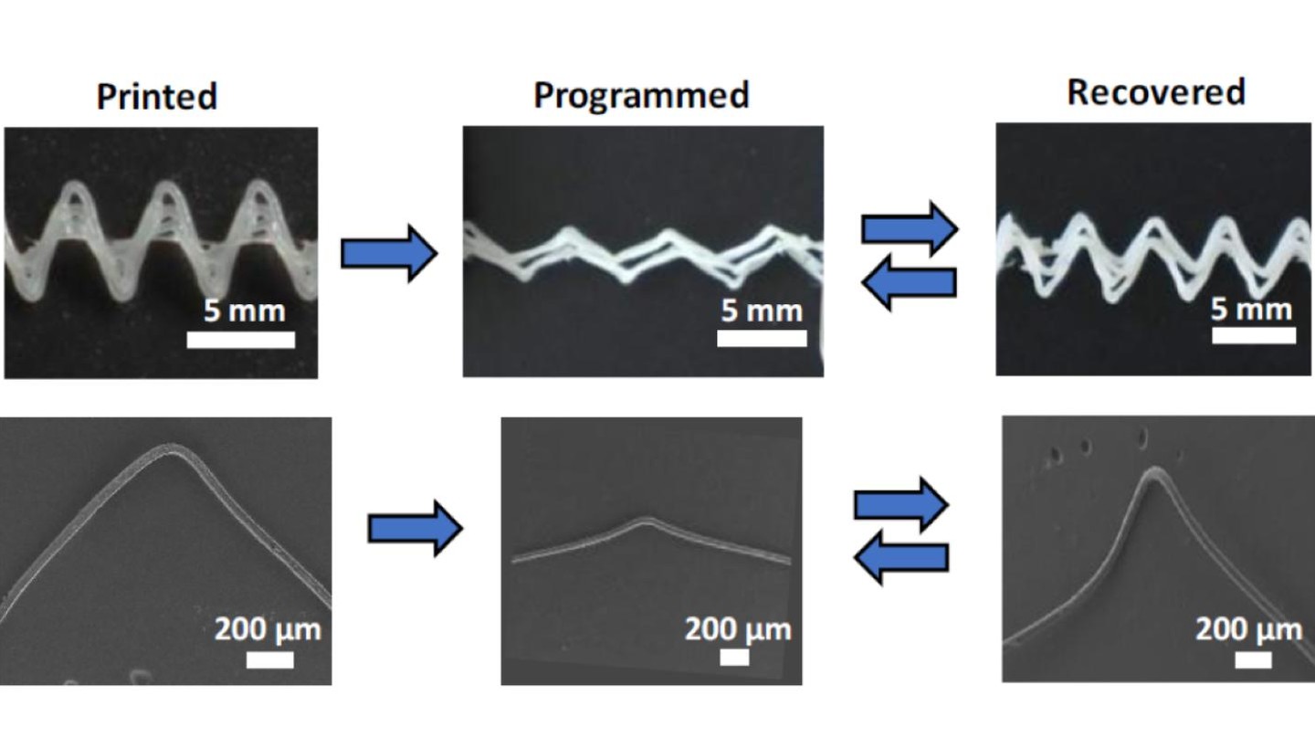 Performance comparison of MEW shape memory polymer structures - EPFL
