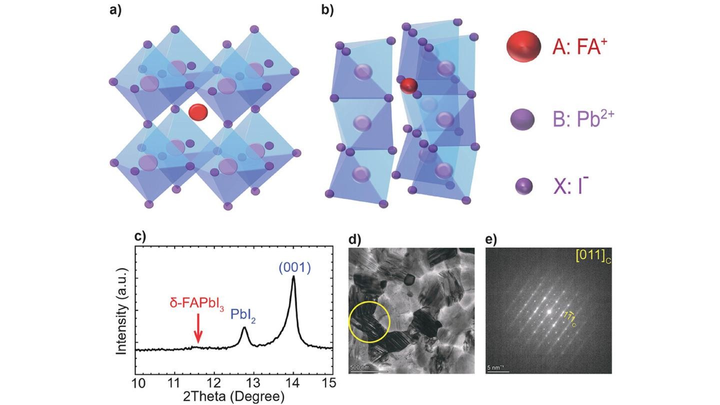 Paper alert - Linking Nanoscopic Insights to Millimetric-Devices! - EPFL