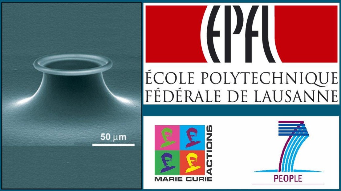 EPFL to lead 5.7 million Euro Marie Curie Initial Training Network - EPFL