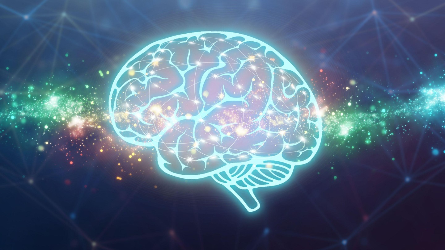 Alexander Mathis Lab ‐ EPFL