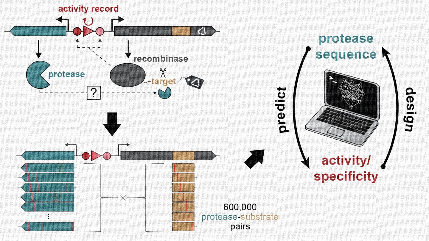 News ‒ LSAM ‐ EPFL