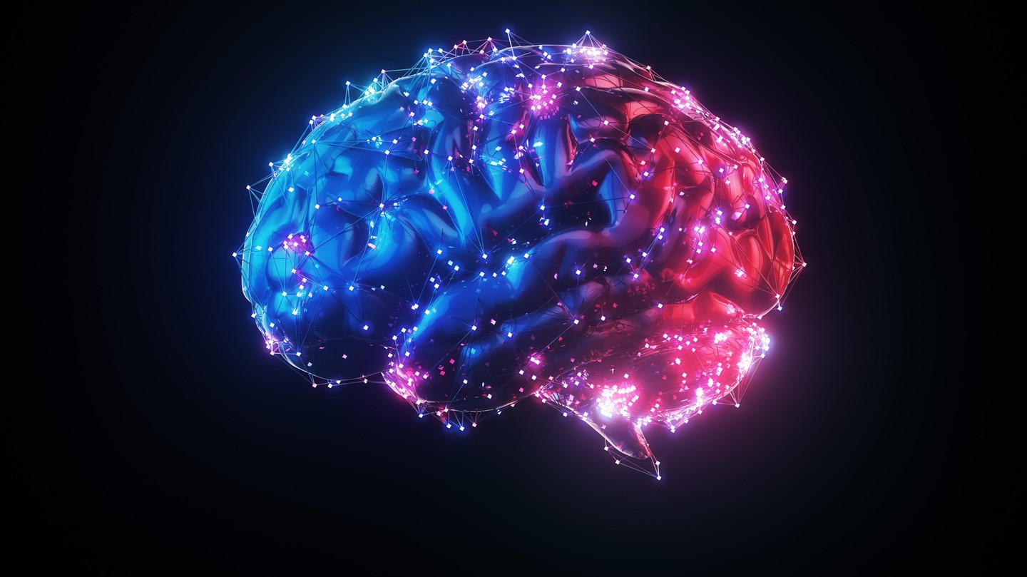 Mapping the brain's wiring - EPFL