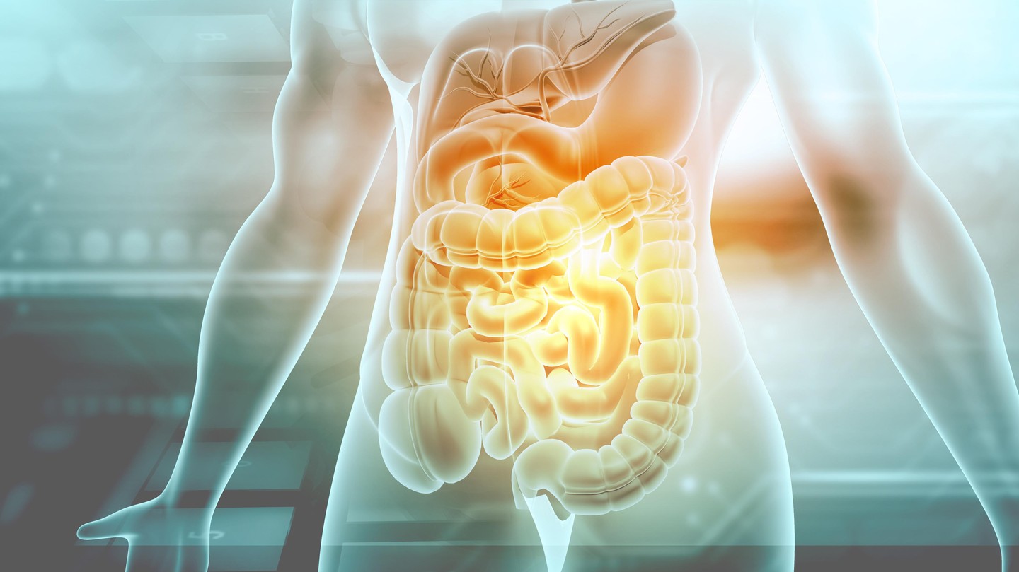 Rare Disease Gene Regulates Gut Healing Post-Injury | Mirage News