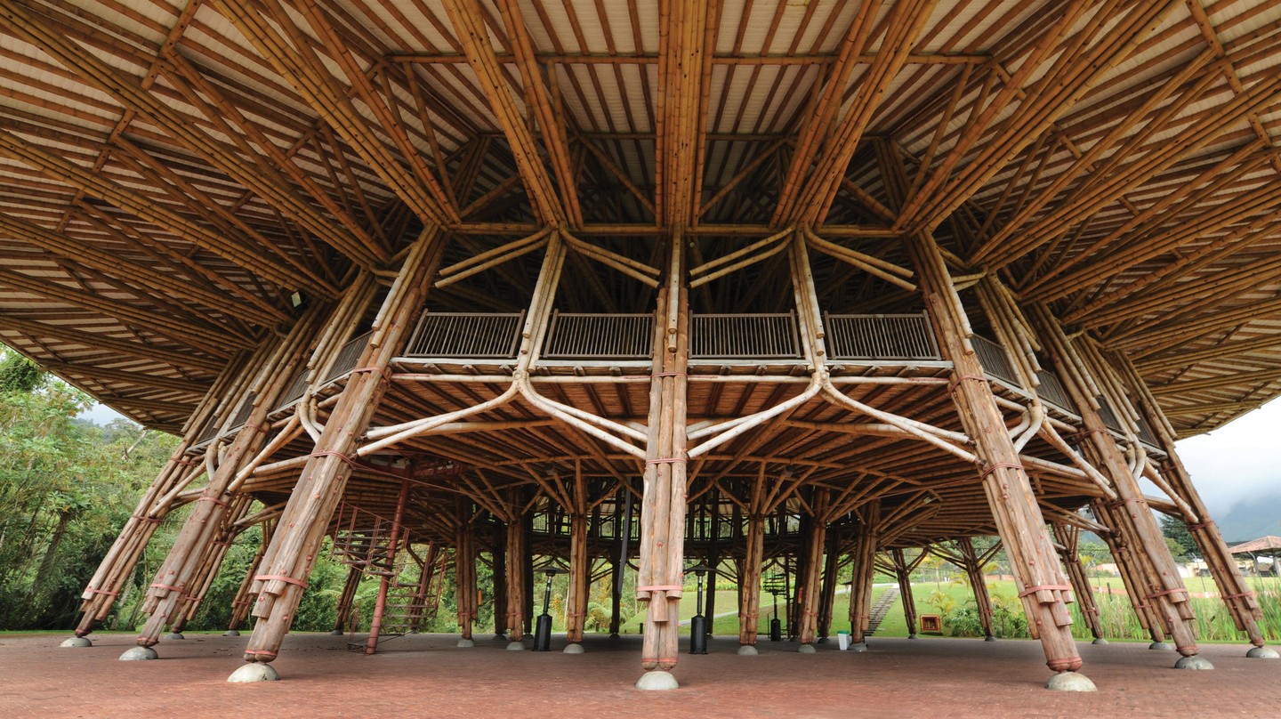 Discovering the architect of bamboo - EPFL