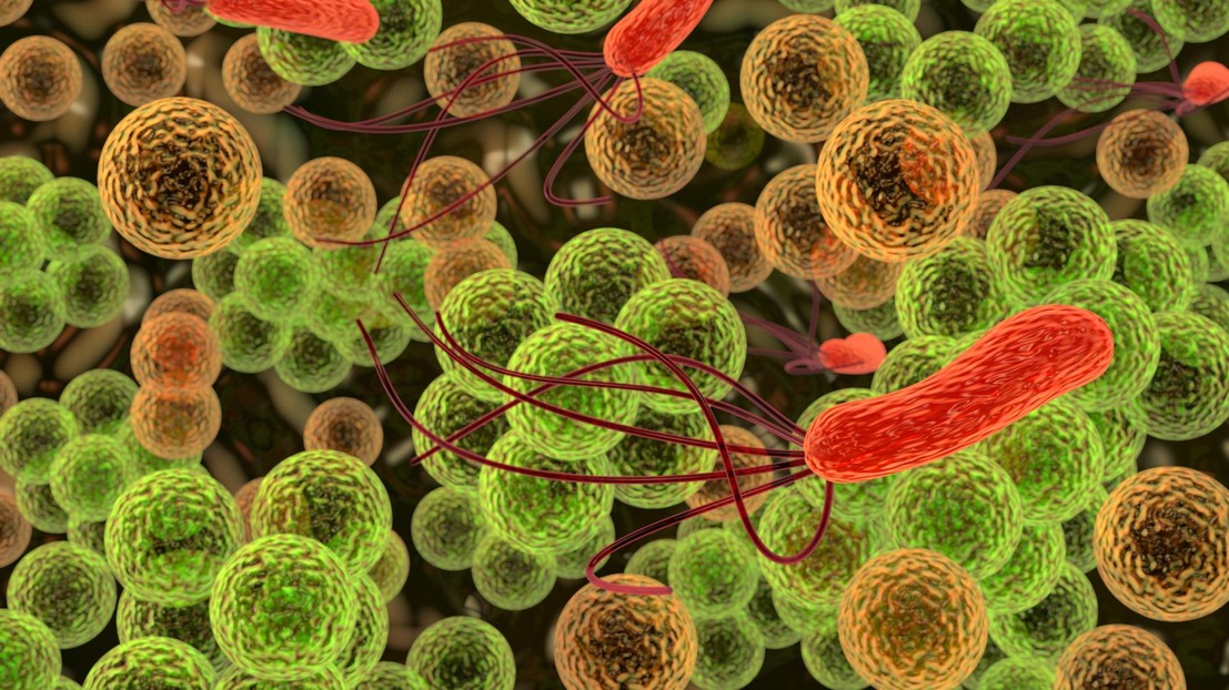 Researchers Dismantle Bacteria's War Machinery - EPFL