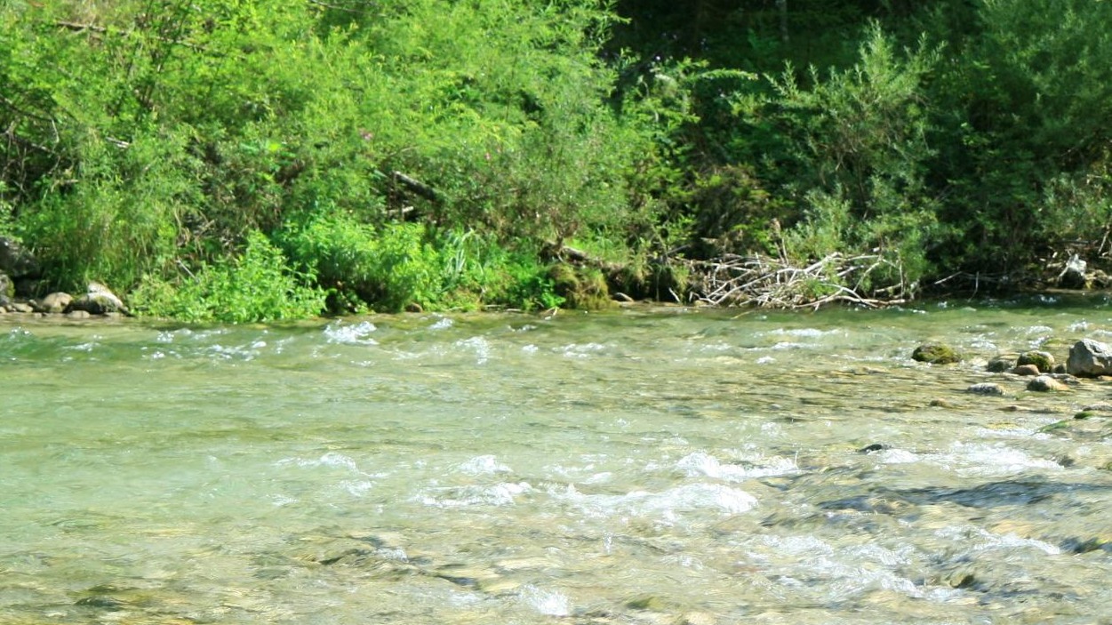 The critical role of headwaters in river biodiversity - EPFL
