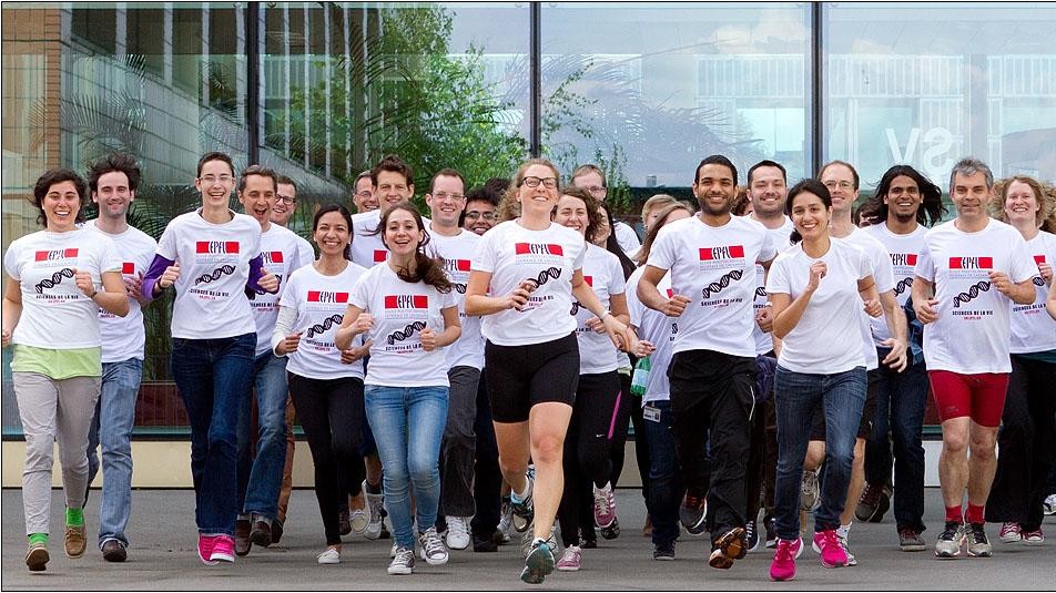 20 Km de Lausanne: 4 équipes de coureurs de la Faculté SV - EPFL