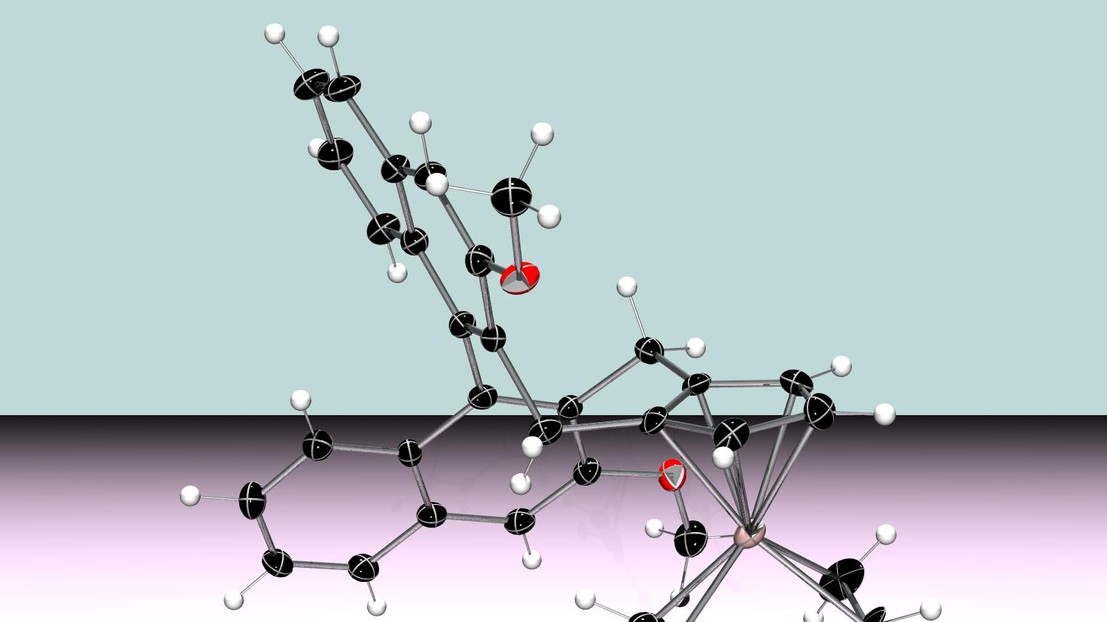 SNSF Consolidator Grant awarded to Prof. Nicolai Cramer - EPFL