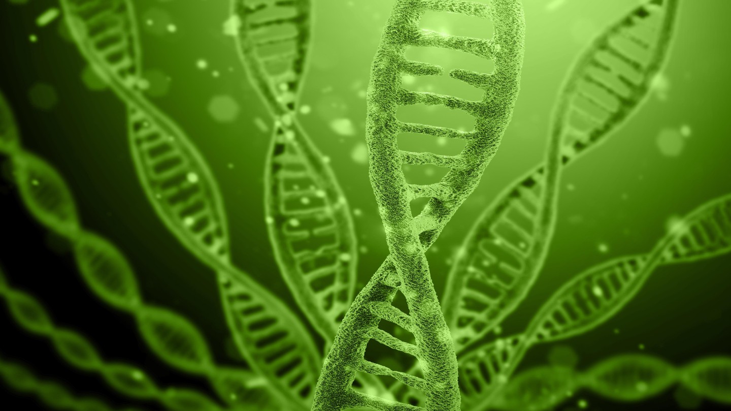 The human genome: a complex orchestra - EPFL