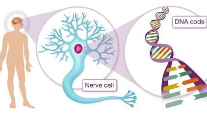 The burgeoning field of epigenetic changes associated with AD - EPFL