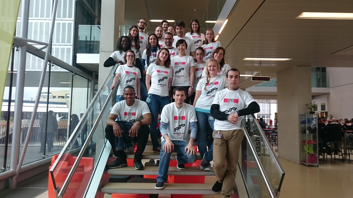 EPFL-SV participates in “20KM de Lausanne” - EPFL