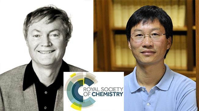 Michael Grätzel and Jieping Zhu win 2016 RSC awards - EPFL