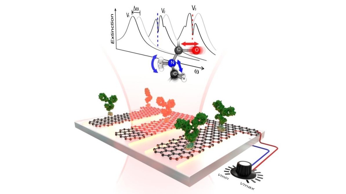 Prof. Hatice Altug has been awarded an ERC CoG 2015 - EPFL