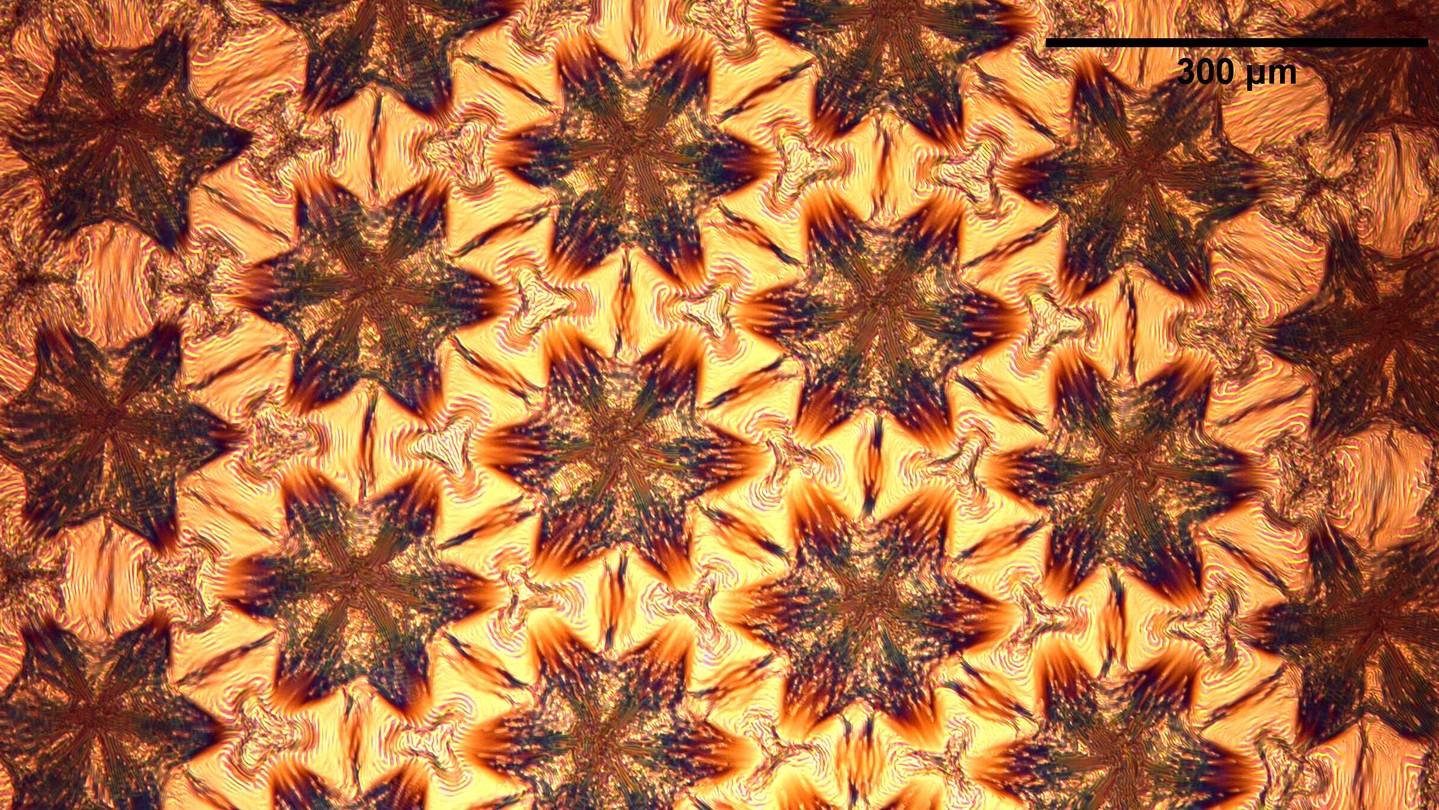 CMI Picture of the Month - EPFL