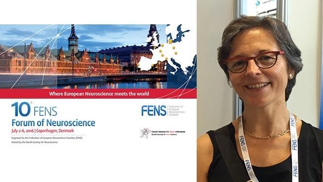 Prof. Carmen Sandi nominated President-elect of the FENS - EPFL