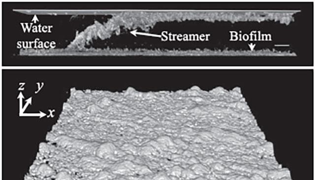 New RIVER paper on sticky biofilms in Water Resources Research - EPFL