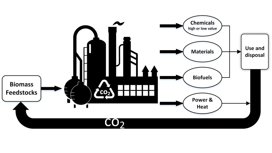 Ydna discusses high pressure CO2 for sustainable biomass processing. - EPFL