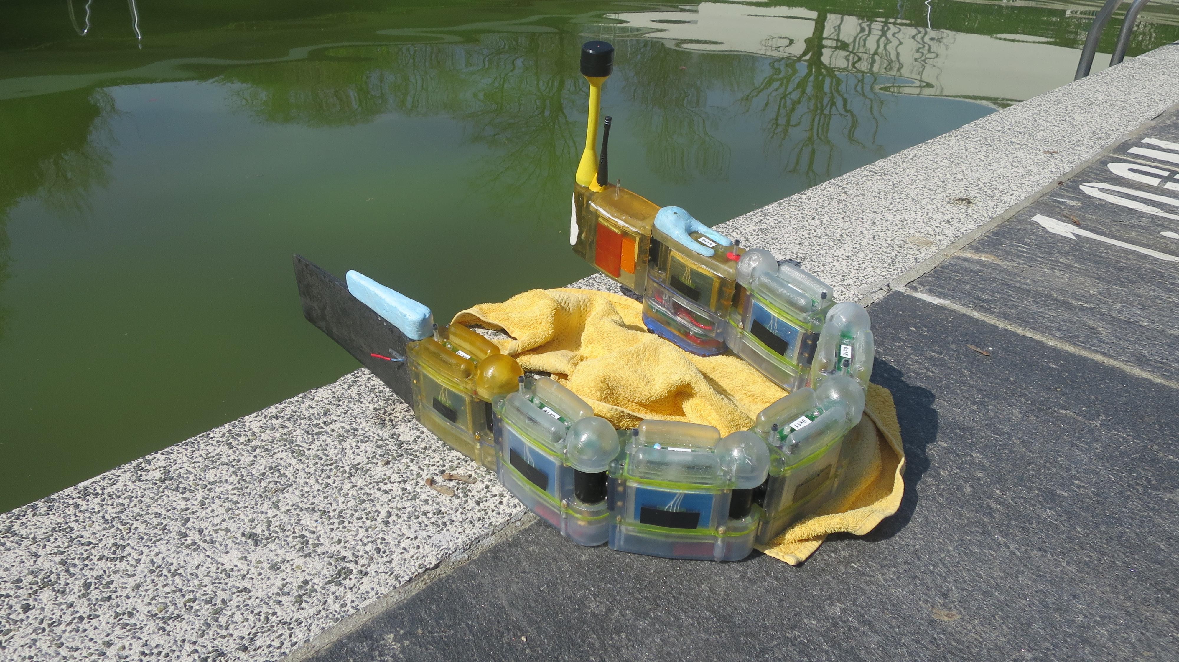 Une anguille robotique qui traque les sources de pollution dans l'eau - EPFL