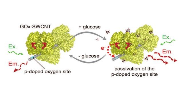 Article published in Small - EPFL