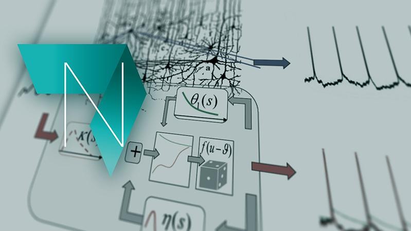 MOOC: Neuronal Dynamics - EPFL