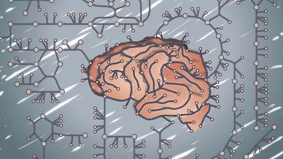 A new model of brain metabolism. - EPFL