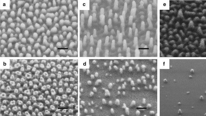 Nanostructured surface topographies have an effect on bactericidal ac ...