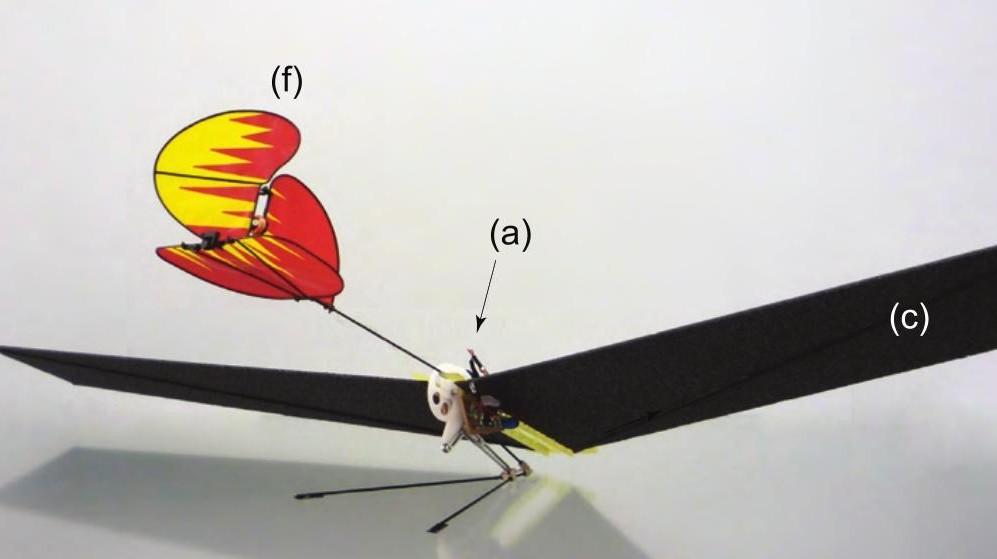 EPFL Jumpglider wins award - EPFL